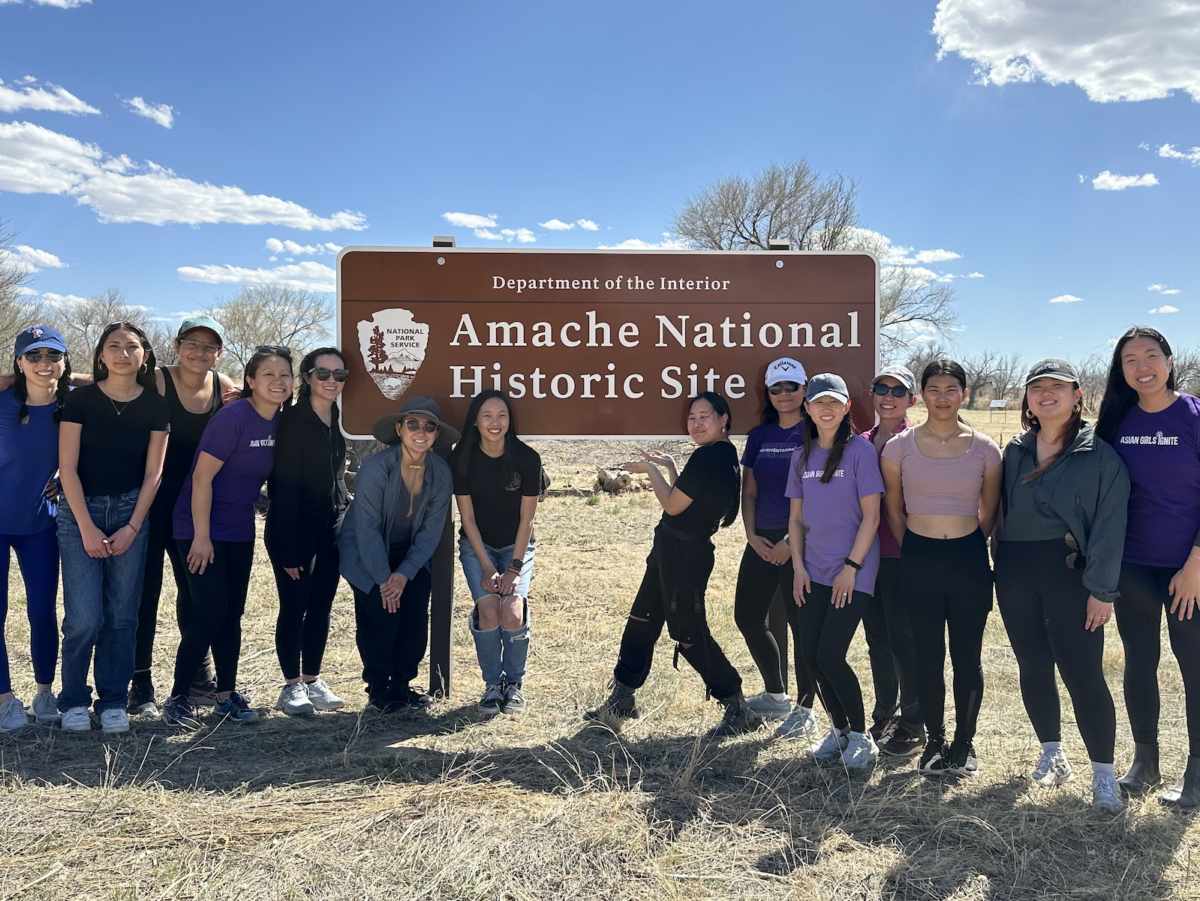 Asian Girls Ignite - New Profit